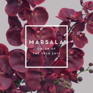Pantone elege “Marsala”a Cor do Ano 2015! – Combine seu Look